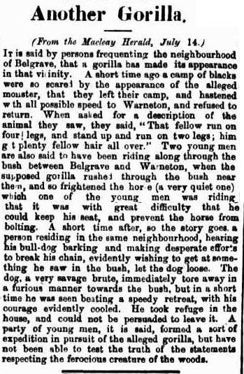 Historical Account #5: Another Gorilla – Yowie Tracks