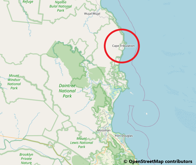 Encounter #6: Cape Tribulation – Yowie Tracks