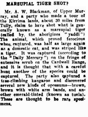 Historical Account #11: Was a real Marsupial Tiger shot in a 1932 ...