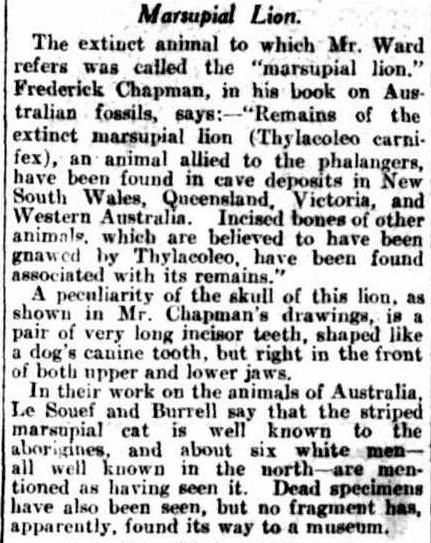 Historical Account #15: The Striped Marsupial Cat – Yowie Tracks