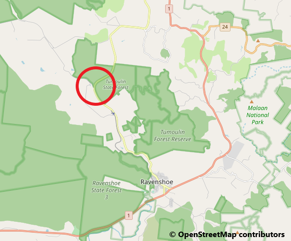 Encounter #14: Thylacine encounter on the Atherton Tablelands – Yowie ...