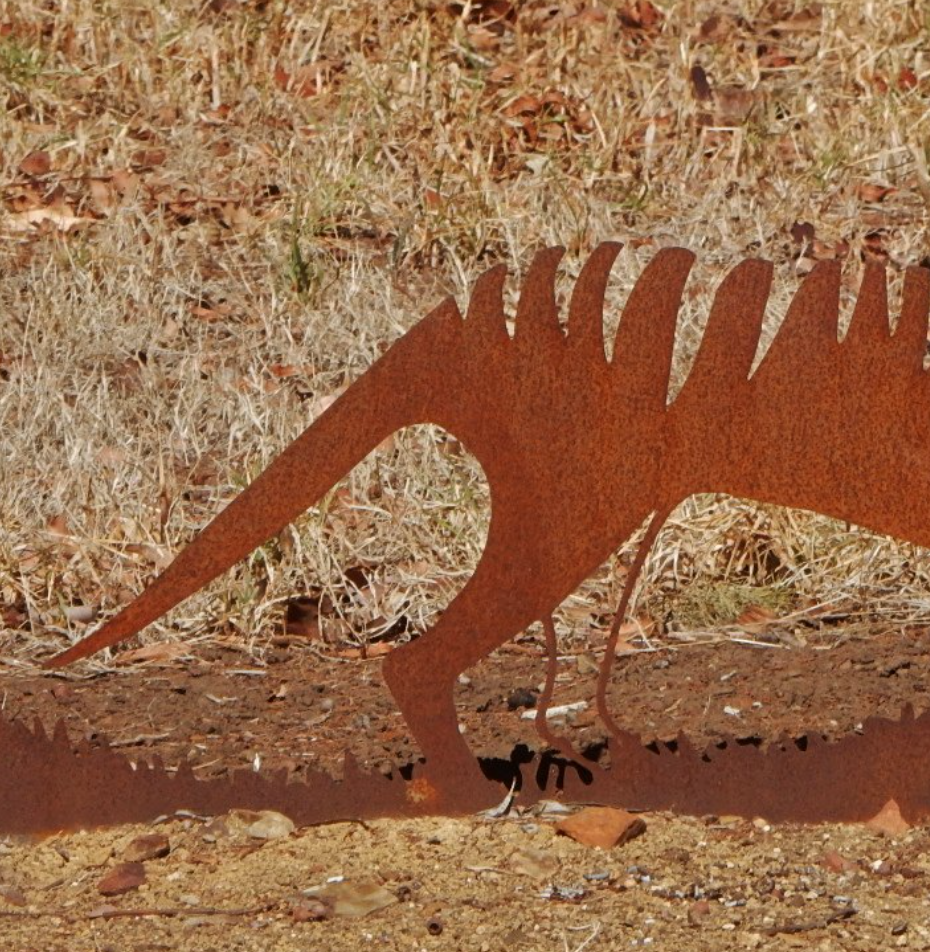 Yowie Tracks – An exploration of Australia’s unknown animals